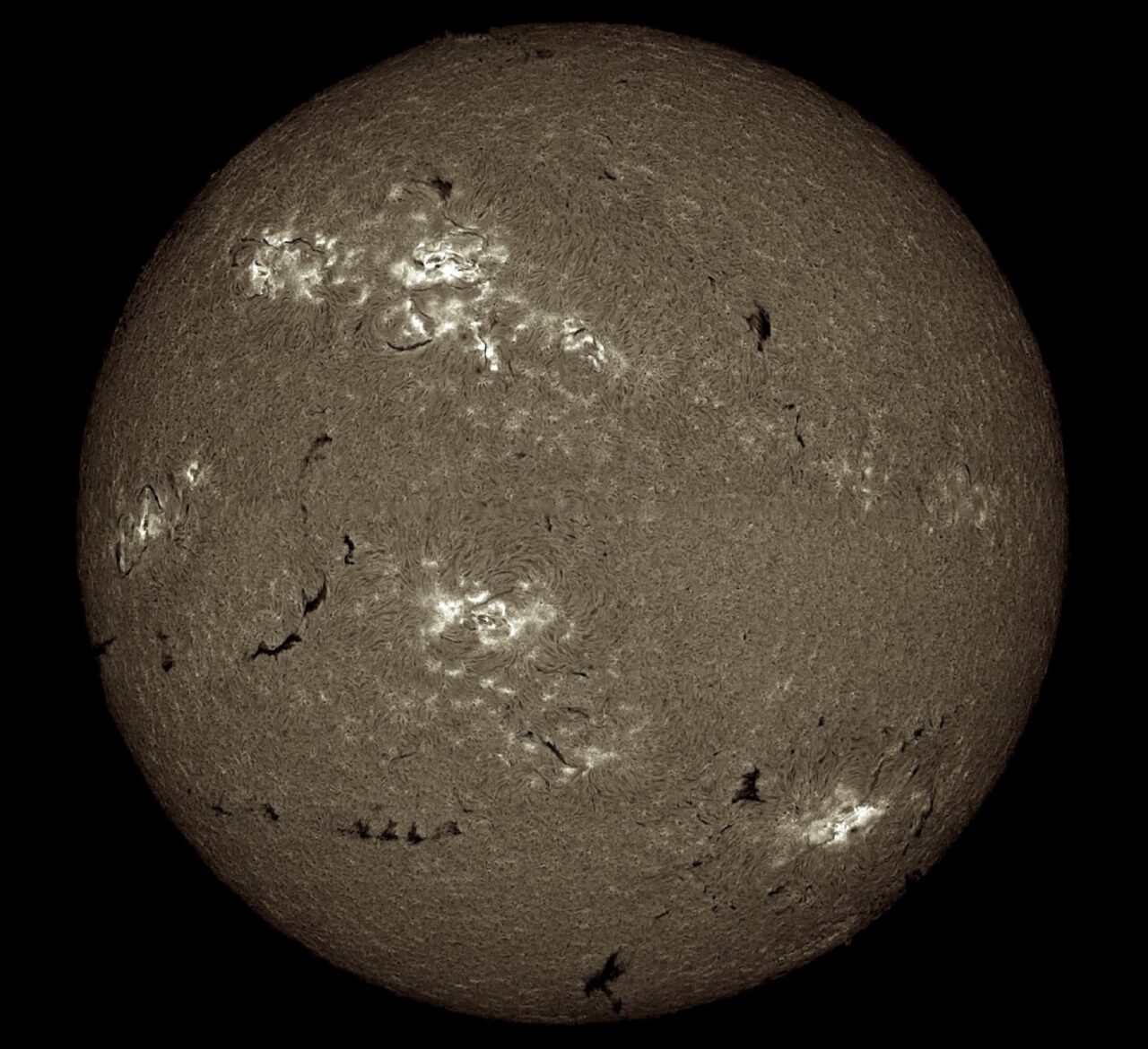 Sol’Ex & Star’EX: a new way to approach astronomy | Shelyak Instruments